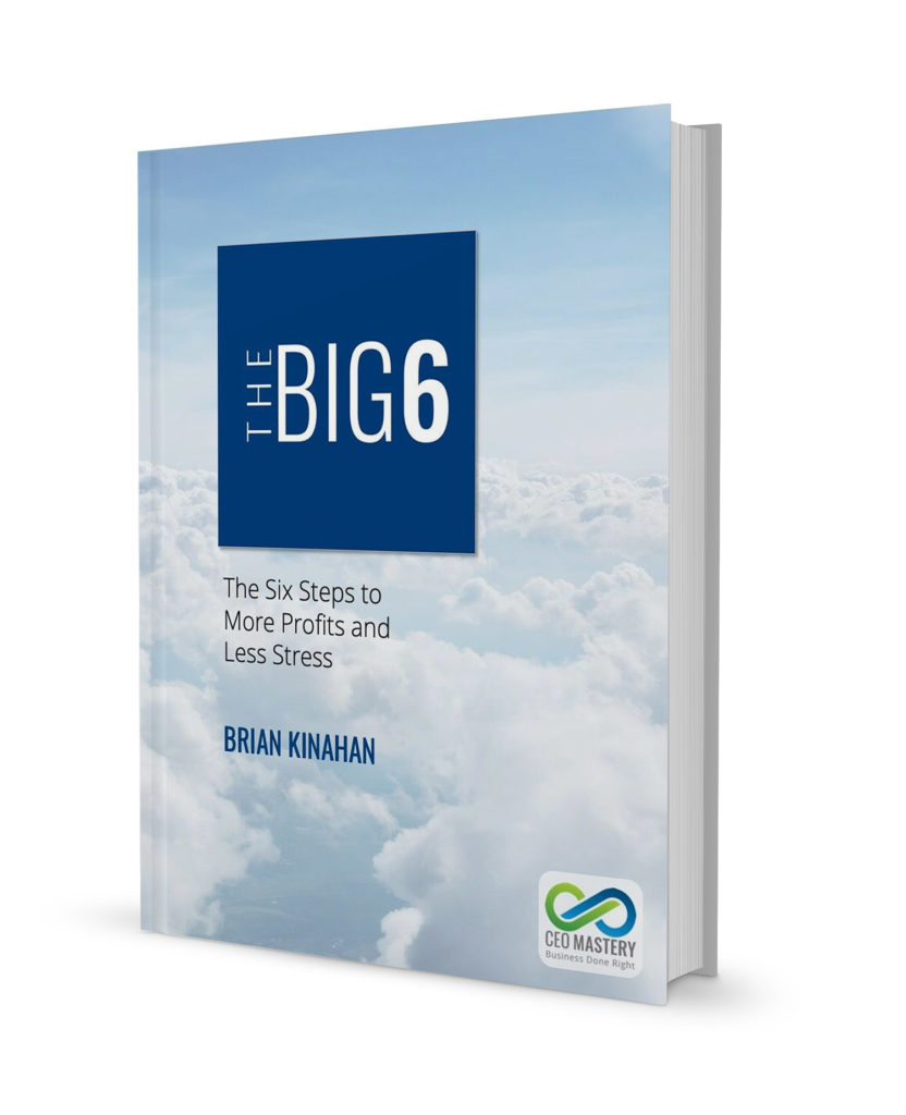 Download Big Six Overview - CEO Mastery